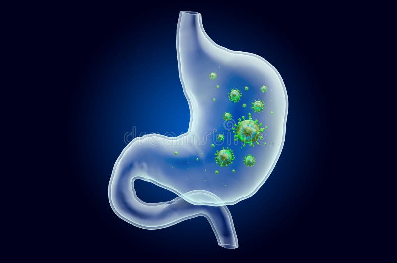 Stomach virus stock vector. Illustration of human, science - 44039883