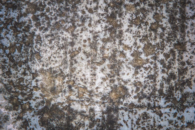 Stone Abstract Background with a Pattern Caused by Water Erosion Stock ...