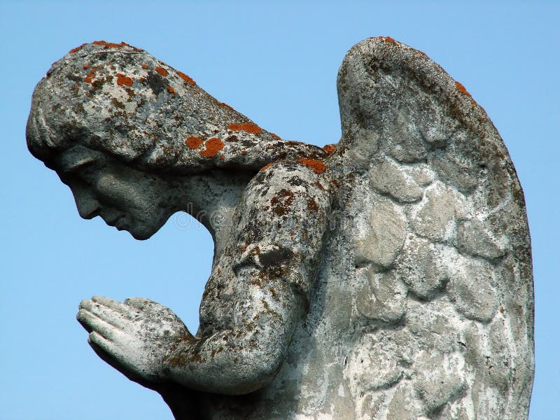 Stone Angel Wings stock photo. Image of angels, angel - 21782374