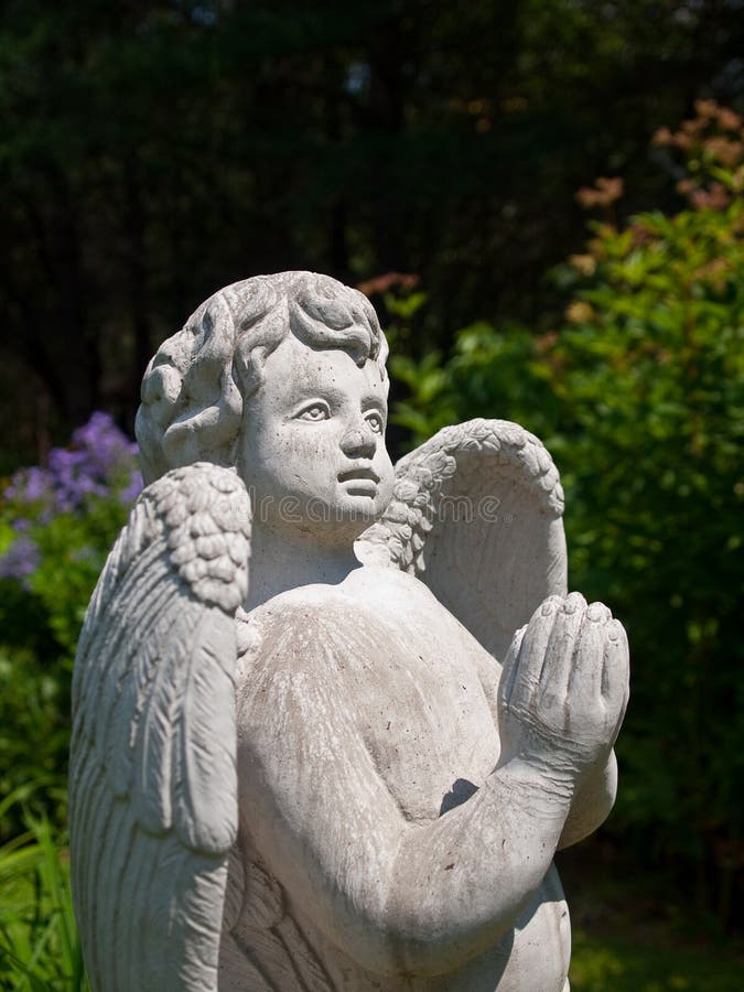 Stone Angel Statue Praying Hands Looking Skyward Stock Photos - Free ...