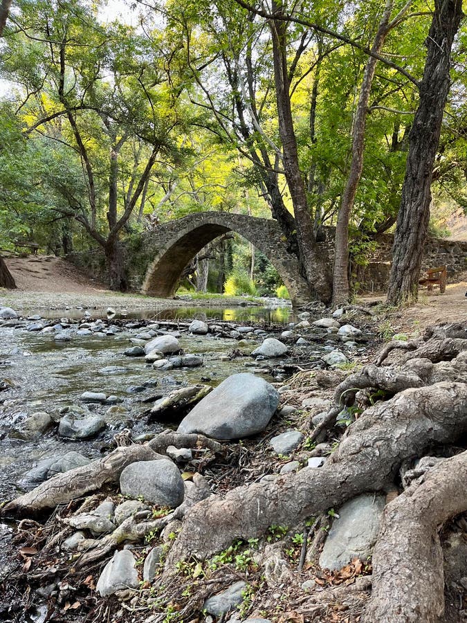 Stone Arch Bridge in the Mountains of Cyprus. River in the Forest ...