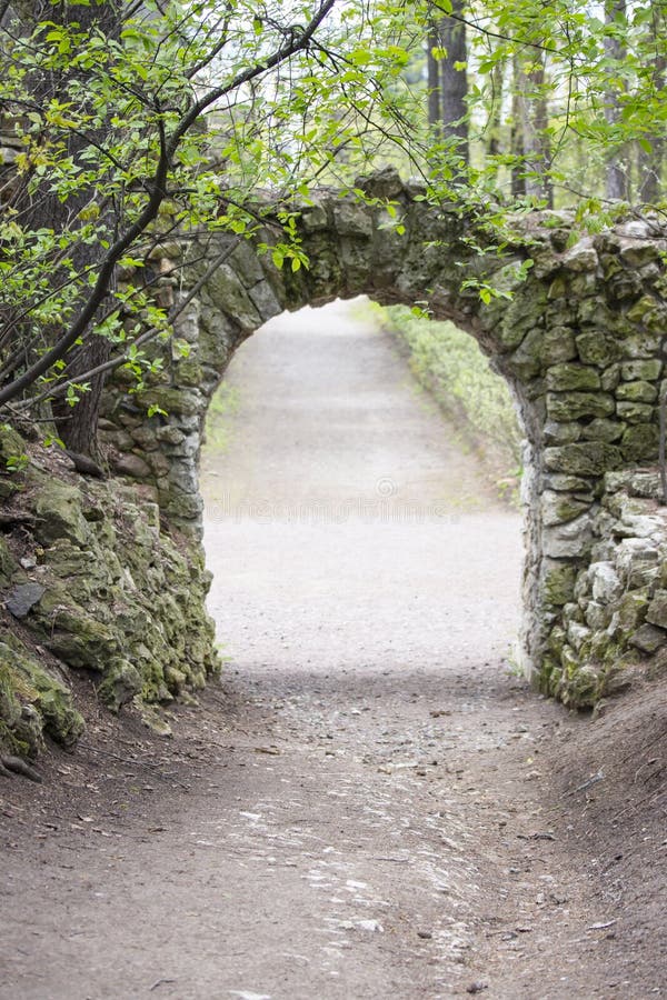 An Arch of Foliage of Summer Green Trees that Forms a Rural Road ...