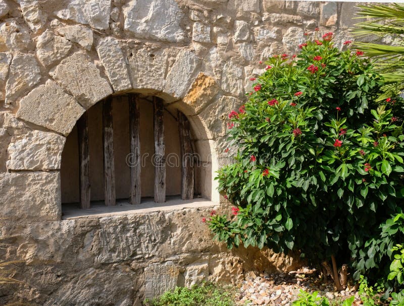 Arched window and bush stock image. Image of window - 186621005