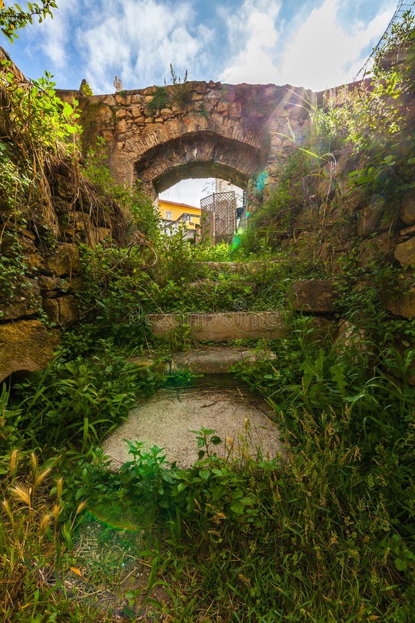 A Stone Archway Overgrown with Vegetation, Leading To a Hidden ...