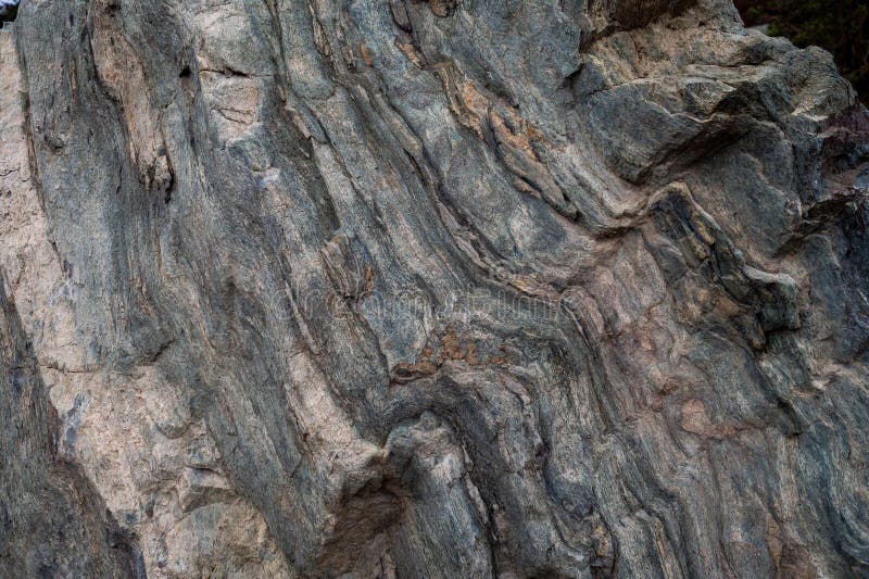 Stone Background. Textured Metamorphic Rock Surface with Visible ...