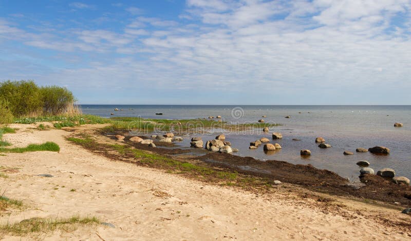 Stone Baltic sea. stock image. Image of seaweeds, horizon - 72747499