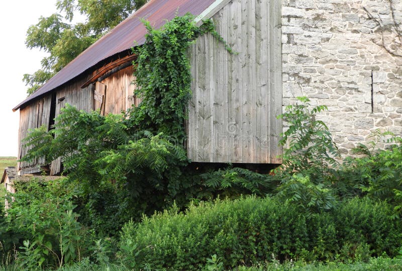 Forebay Historic Barn in Pennsylvania Stock Photo - Image of copyspace ...