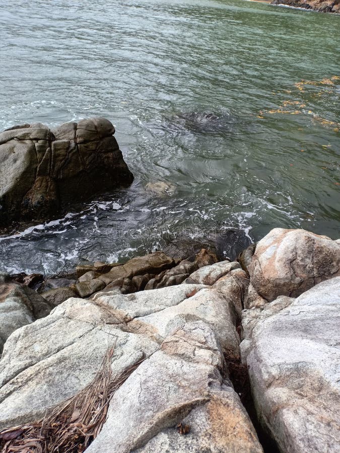 Stone and beach stock image. Image of beach, water, stone - 210084349
