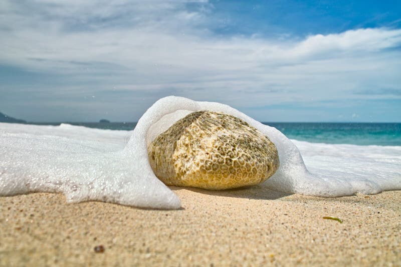 Stone on the Beach stock photo. Image of single, closeup - 23516168