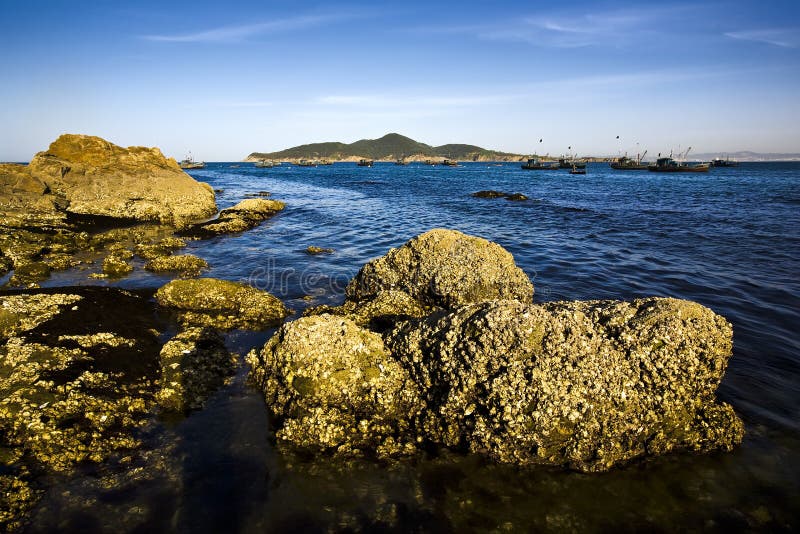 Stone at beach stock photo. Image of shore, beach, wasteland - 9632408