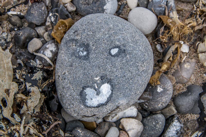 A Stone on the Beach Looks Like a Face Stock Photo - Image of flotsam ...