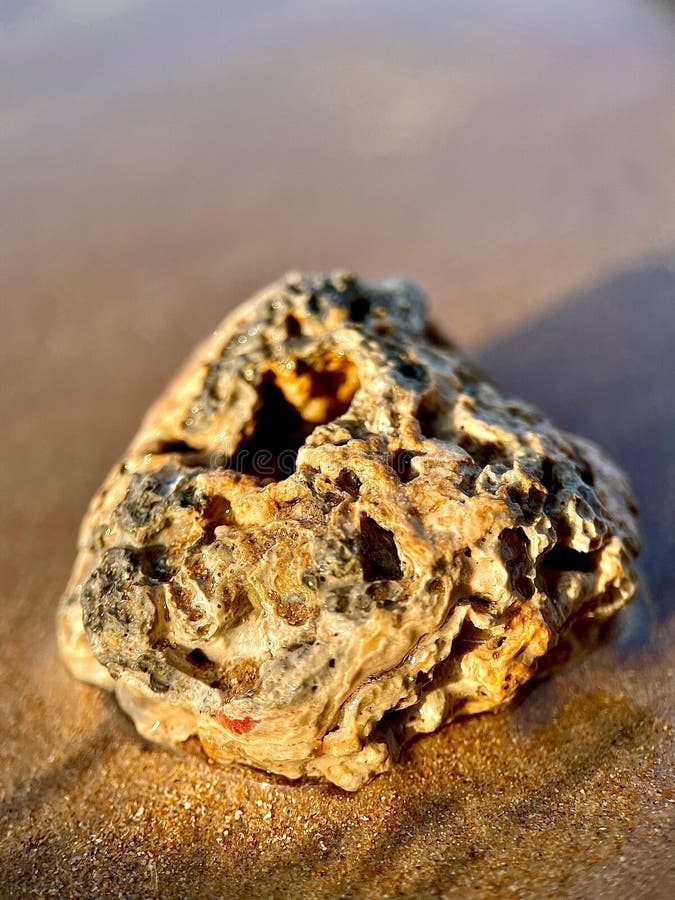Close Up of Stone Alone in the Beach Sand Stock Image - Image of alone ...
