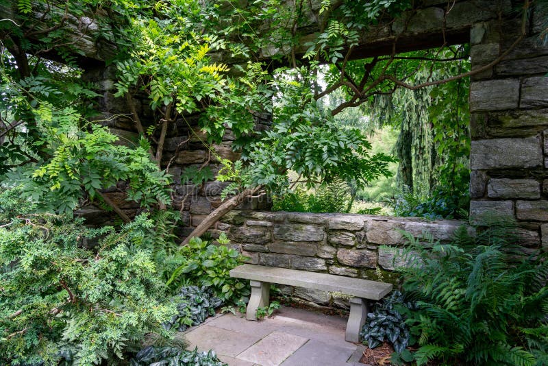 Vine Covered Stone Ruins with Stone Bench Stock Image - Image of nature ...