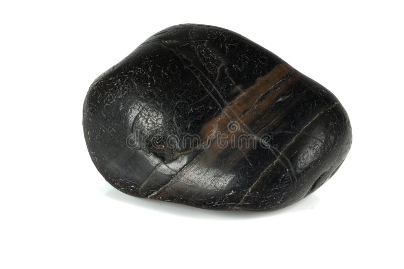 Black Smooth Stone Surrounded Pumice Bricks. Small Flower Plants Stock ...