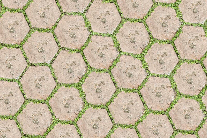 Brick Octagonal Walkway Pavement Texture Stock Image - Image of ...