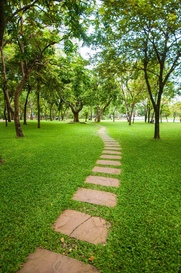 316 Wood Block Walk Path Park Stock Photos - Free & Royalty-Free Stock ...