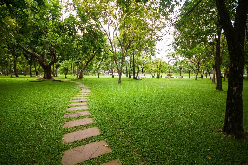 316 Wood Block Walk Path Park Stock Photos - Free & Royalty-Free Stock ...