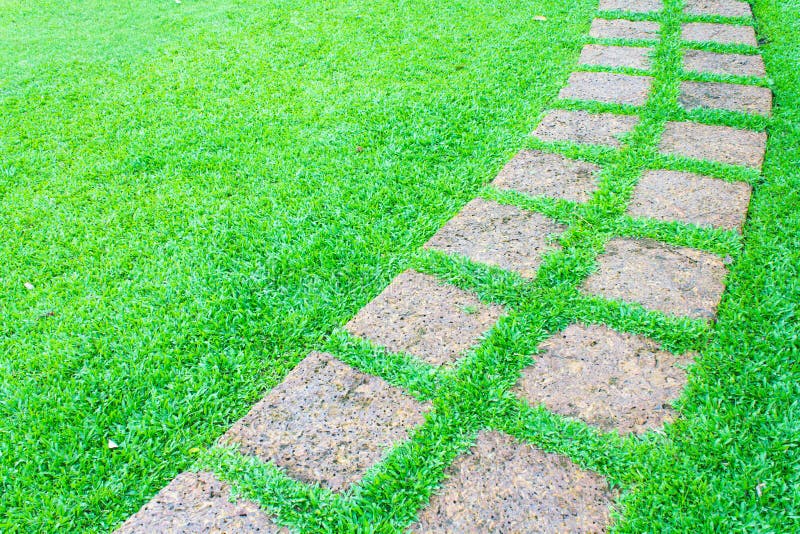 The Stone Block Pathway in the Backyard Stock Image - Image of lpath ...