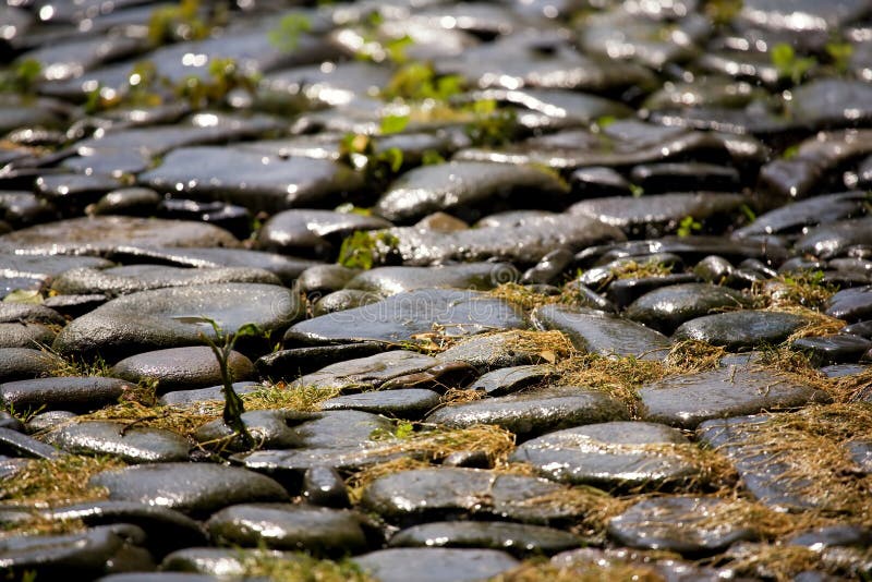 Stone block paving stock photo. Image of stone, drops - 32291414