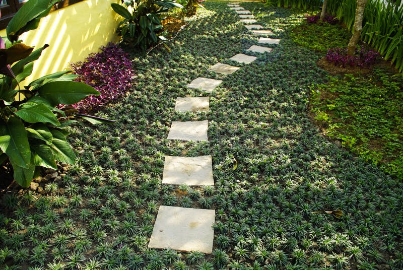 The Stone Block Walk Path in the Garden Stock Photo - Image of ...