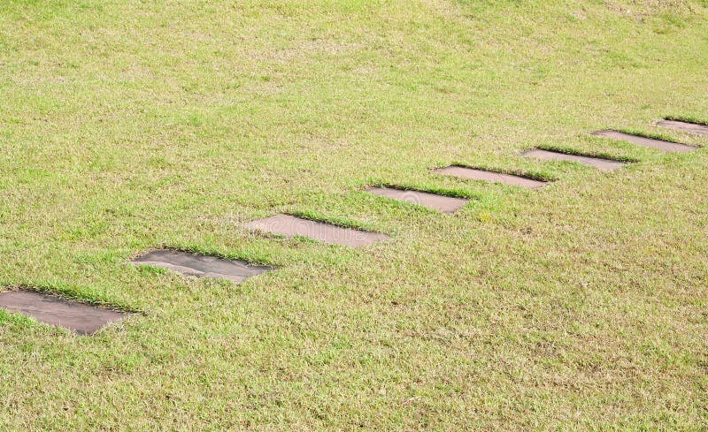 Stone block walk path stock image. Image of cobble, garden - 41399263