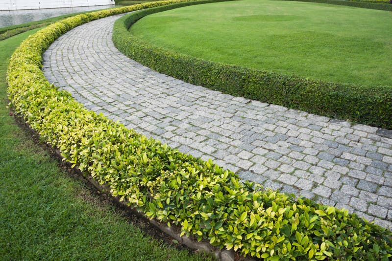 The Stone Block Walk Path in the Park with Green Grass and Flowers ...