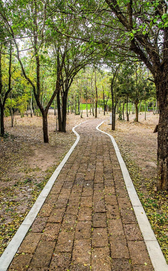 Stone block walk path stock image. Image of ground, pattern - 31816347