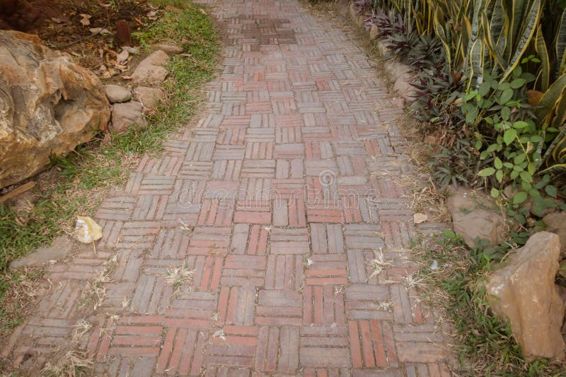 Walk Pathway Especially For The Blind Person Stock Image - Image of ...