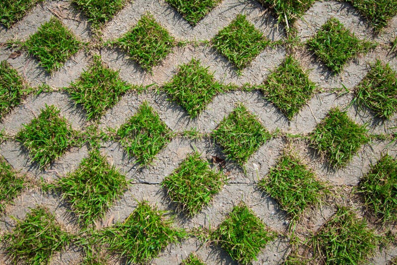 Concrete Grass pattern 01 stock photo. Image of green - 10004574