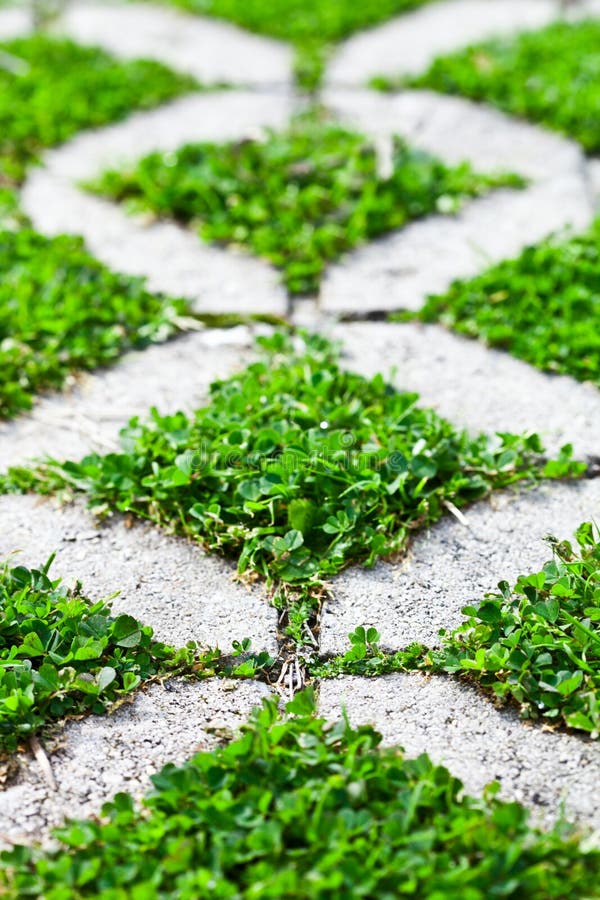 Stone Block Walk Path in the Park with Green Grass Stock Image - Image ...
