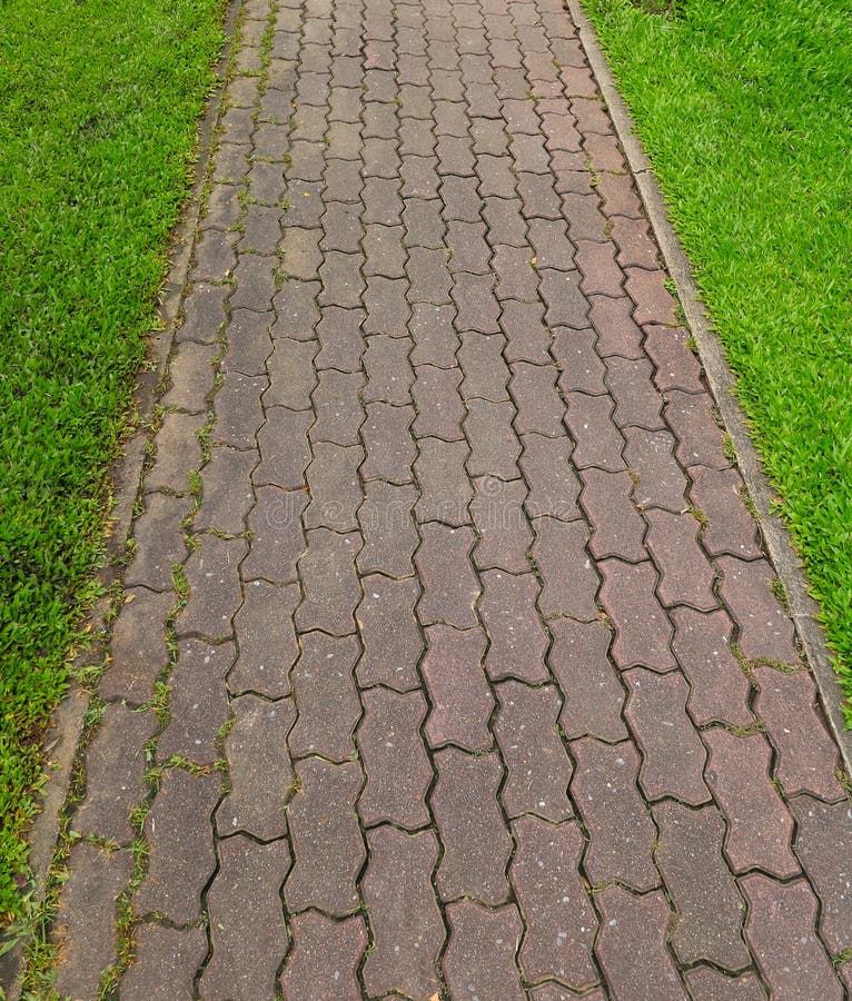 Curve Walkway in Public Park Stock Image - Image of curve, garden: 94975143