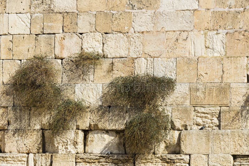 Stone Blocks of the Crying Wall Stock Image - Image of city, building ...