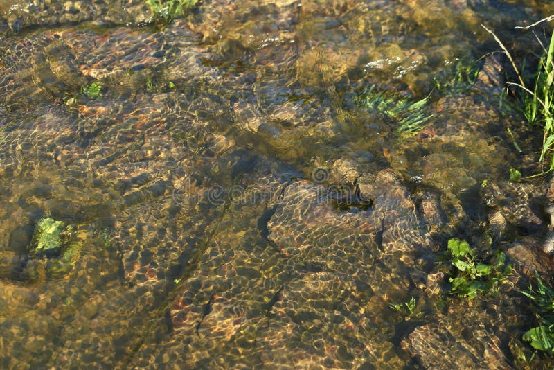 The Stone Bottom of River Under Water Stock Photo - Image of stone ...