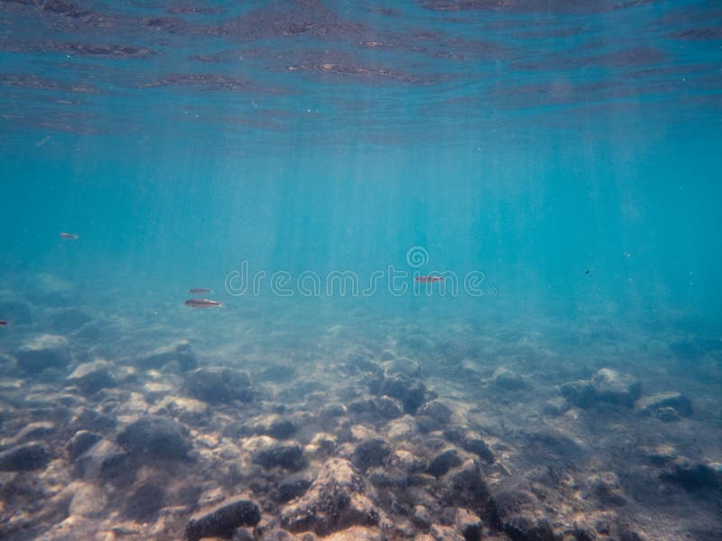 Bottom of surface mining stock photo. Image of deep, heavy - 84865730