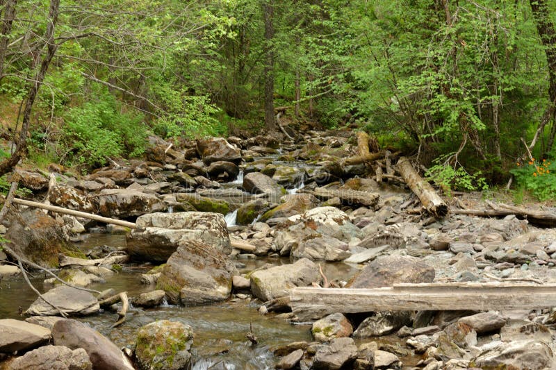 Stone Boulders and Fallen Tree Trunks in the Bed of a Beautiful River ...