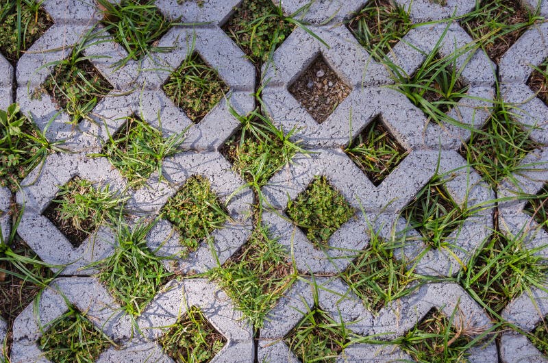 Stone Brick on the Ground with Grass. Stock Photo - Image of ground ...