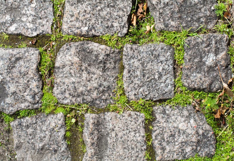Stone Bricks with Grass and Moss Stock Image - Image of brick, floor ...