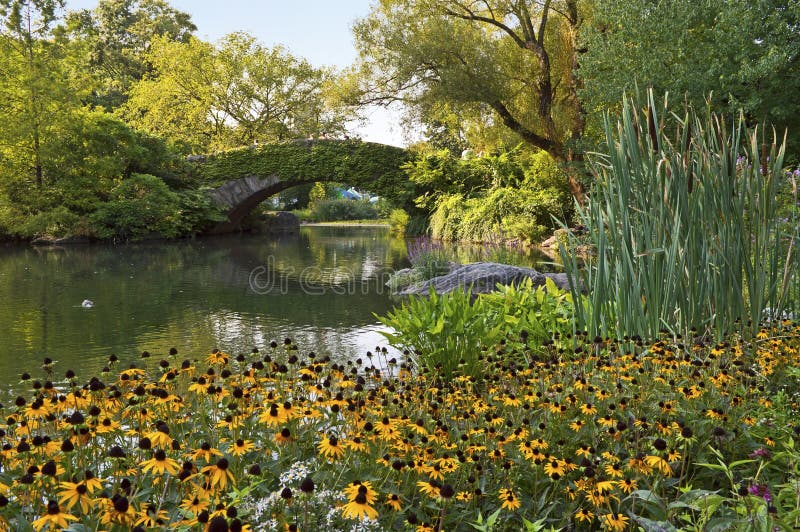 Stone Bridge and Flowers stock image. Image of york, bridge - 26524675
