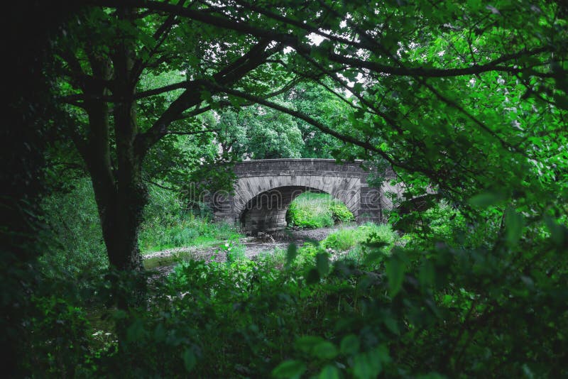 Bridge among Greenery in England Stock Image - Image of landscape ...