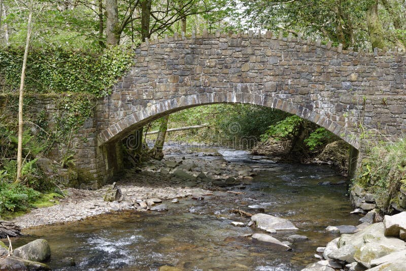 Stone Bridge Over River Heddon Stock Image - Image of heddon, green ...