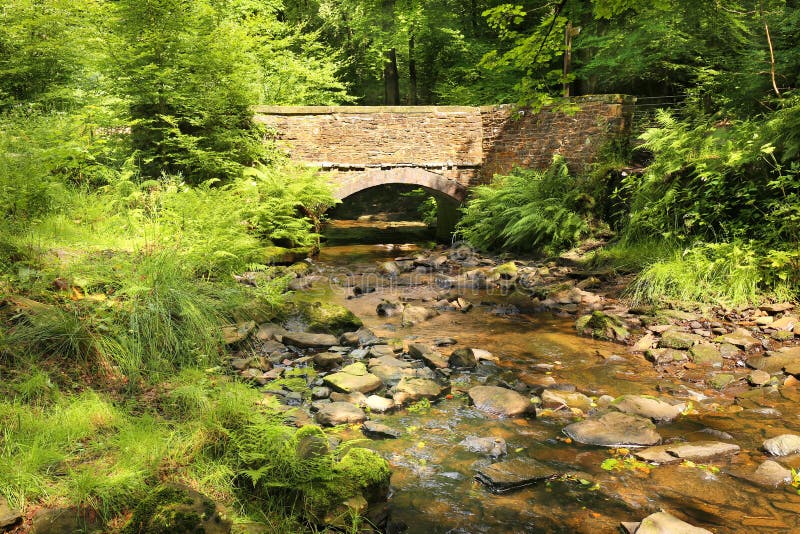 Trickling Brook Stock Photos - Free & Royalty-Free Stock Photos from ...