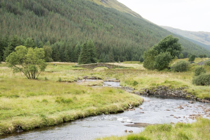 Stone bridge over a stream stock photo. Image of trees - 34876832
