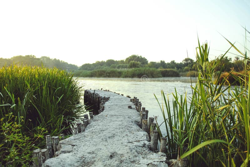 Stone Bridge in Reeds Overlooking River Stock Image - Image of season ...