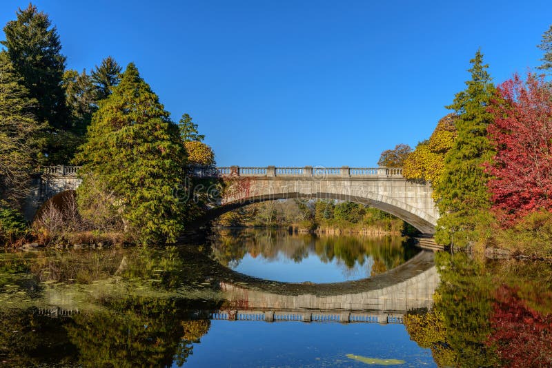 Stone bridge stock photo. Image of forest, reflection - 34763426