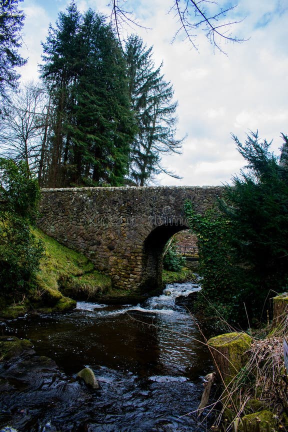A Stone Brigde Going Over a River Stock Image - Image of tall, park ...