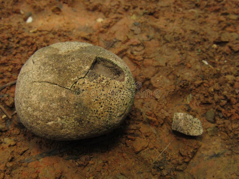 Strange Stone, Puzzle Stone Pieces Stock Image - Image of discover ...