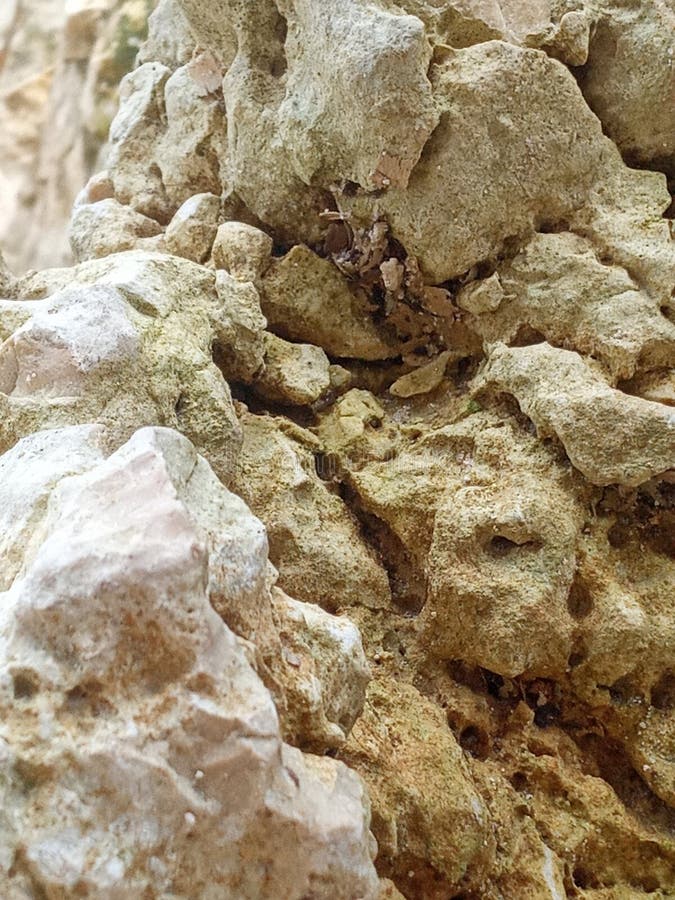 Stone brown bright stock photo. Image of stone, bright - 269648248