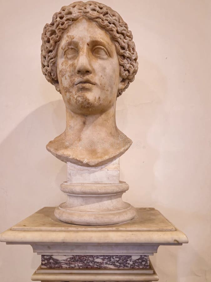 Stone Bust Exposed in the Vatican Museum, Rome, Italy. Editorial ...