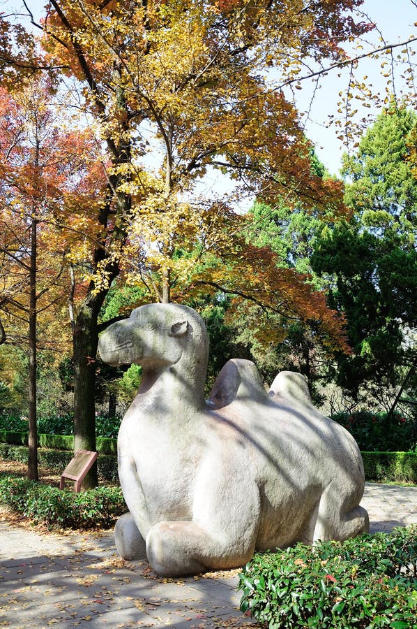 Stone Camel in Evening Dessert Stock Image - Image of ground, erosion ...