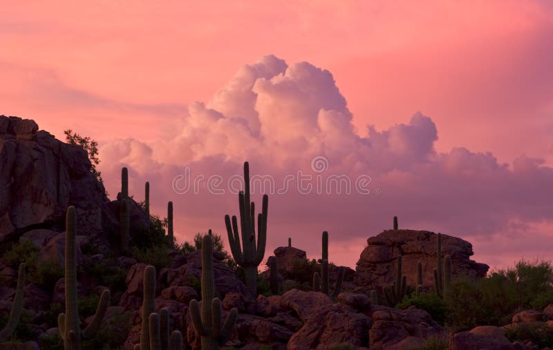 Blue sunset stock image. Image of clouds, blue, kihei - 1708517